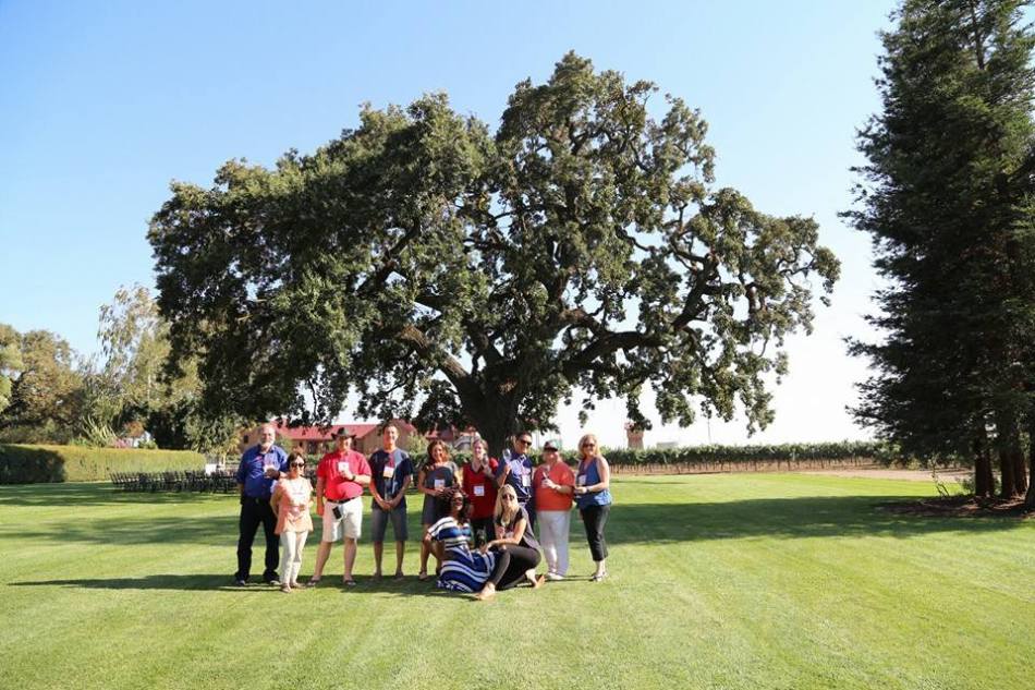 Oak Farm Vineyards and Chef Michael Midgley Team Up for an ...